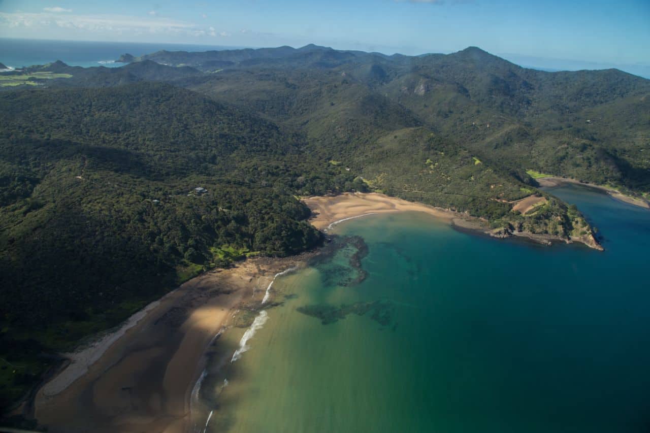 Accommodation - Aotea Great Barrier Island