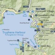 Walking on Aotea Great Barrier Island