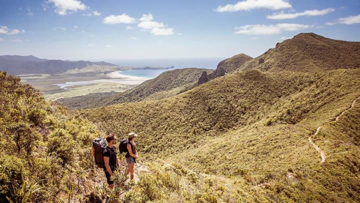 The Aotea Track - Aotea Great Barrier Island