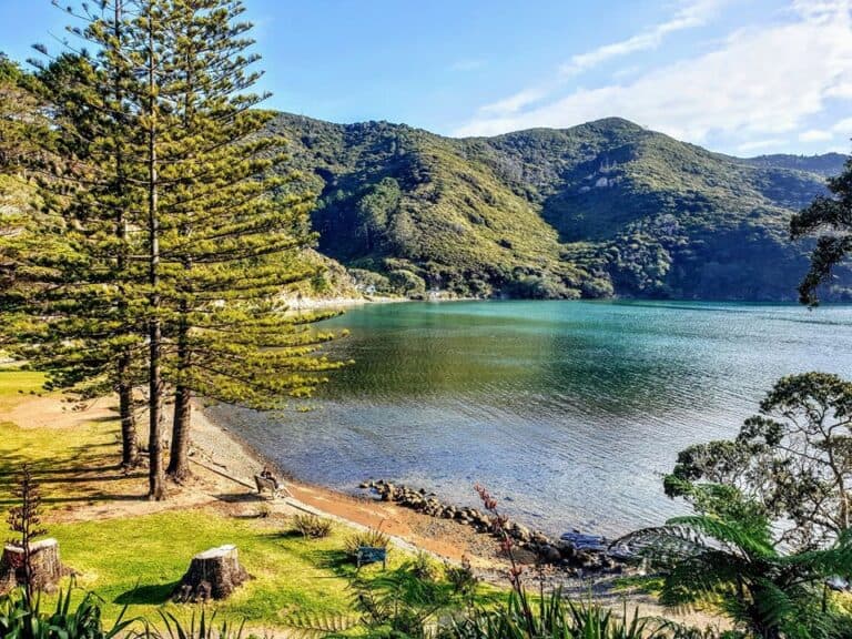 Orama - Aotea Great Barrier Island
