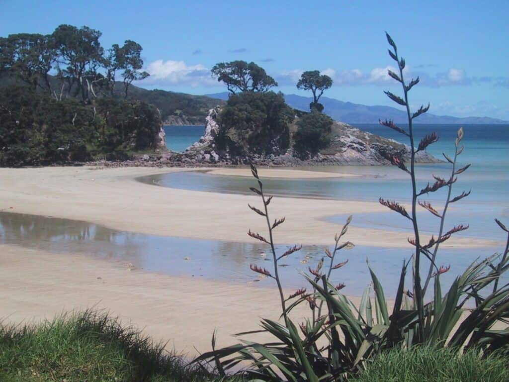 Explore Aotea Great Barrier - Aotea Great Barrier Island