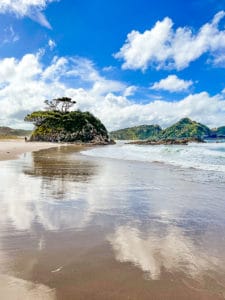 Home - Aotea Great Barrier Island