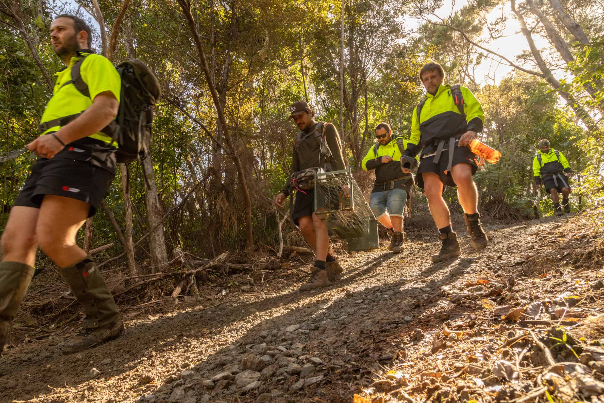 Tū Mai Taonga project taking shape and in great heart - Aotea Great ...