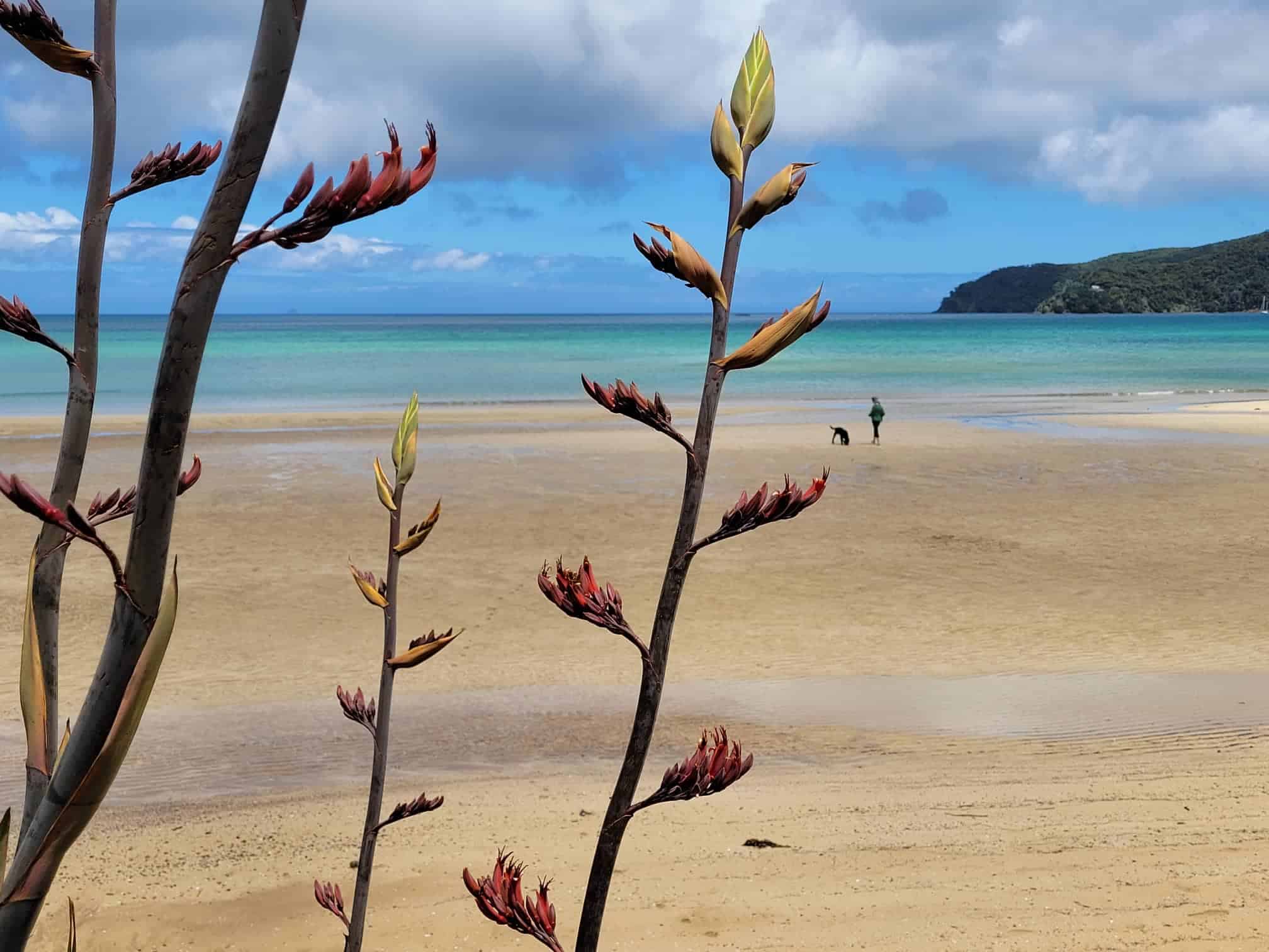 Getting Around - Aotea Great Barrier Island