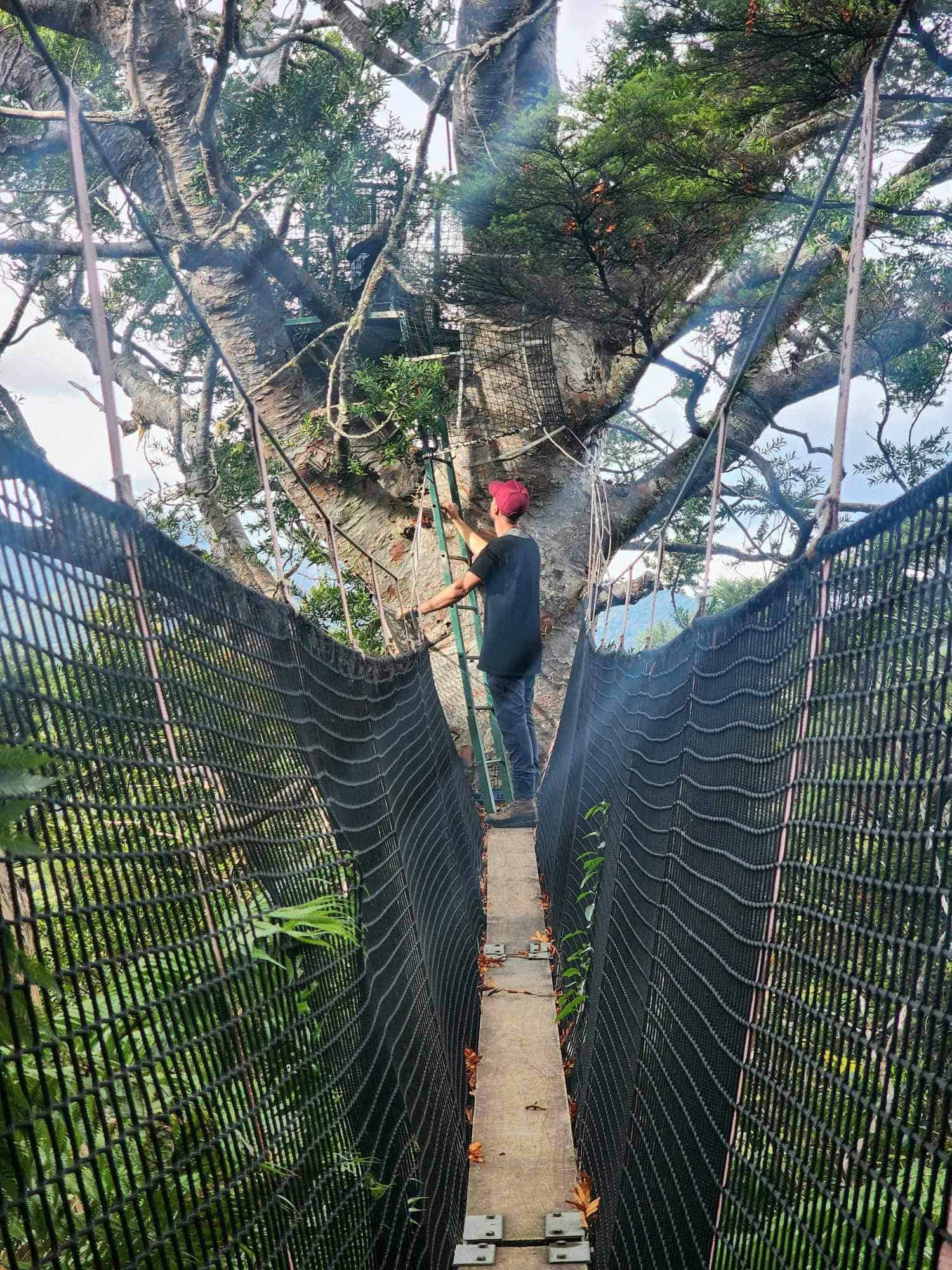 Activities on Aotea Great Barrier Island