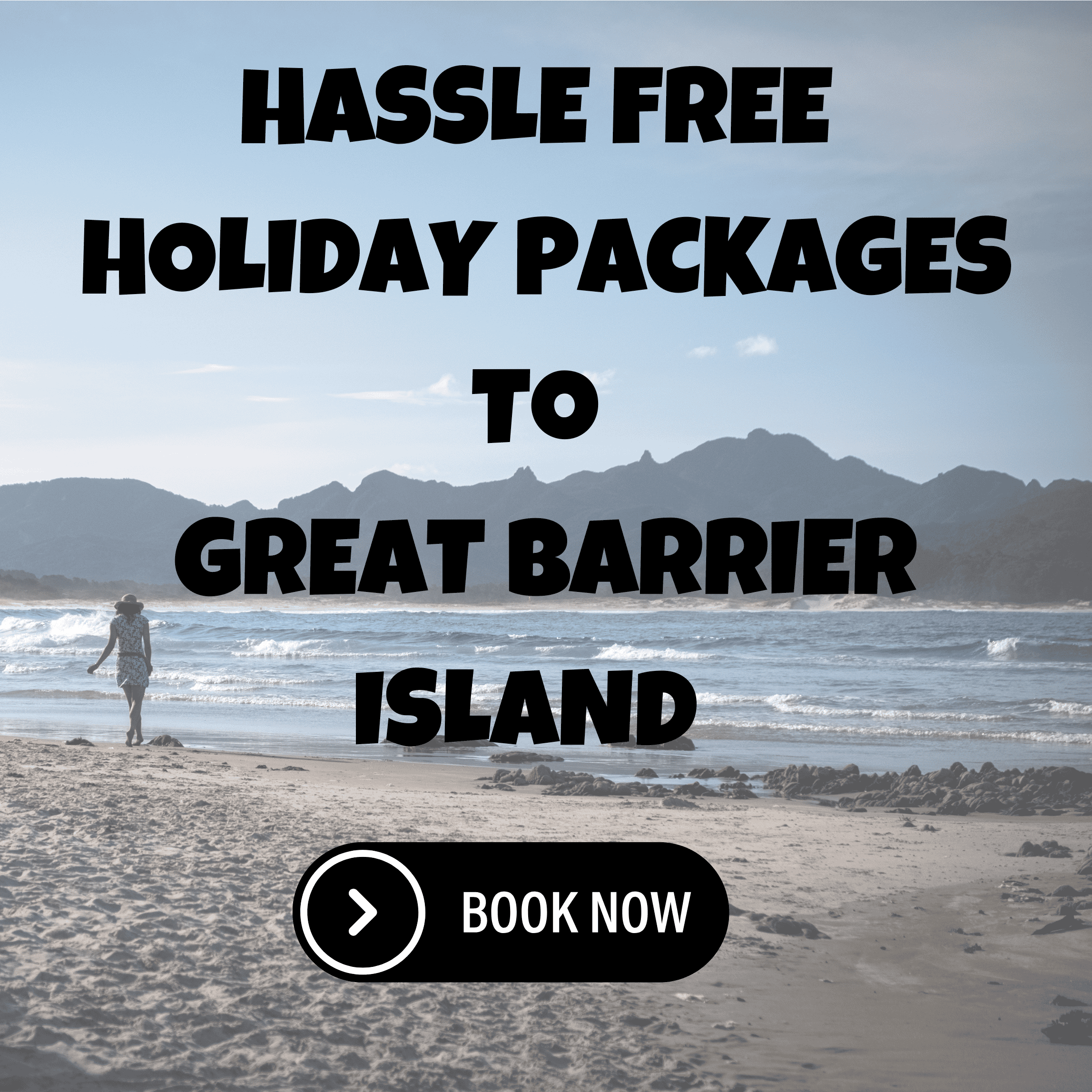Packages - Aotea Great Barrier Island