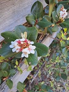 Home - Aotea Great Barrier Island